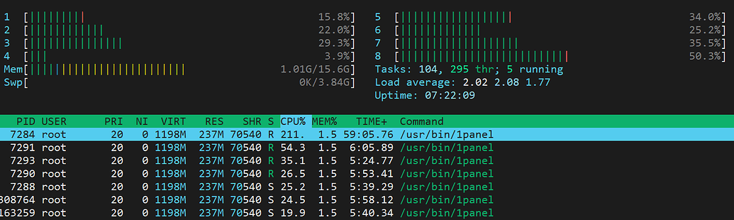 1panel进程在干嘛？占巨量cpu - 1Panel - 社区论坛 - FIT2CLOUD 飞致云