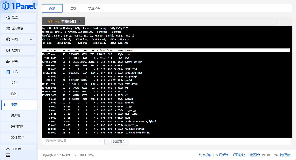 1panel进程吃掉了服务器所有资源 - 1Panel - 社区论坛 - FIT2CLOUD 飞致云