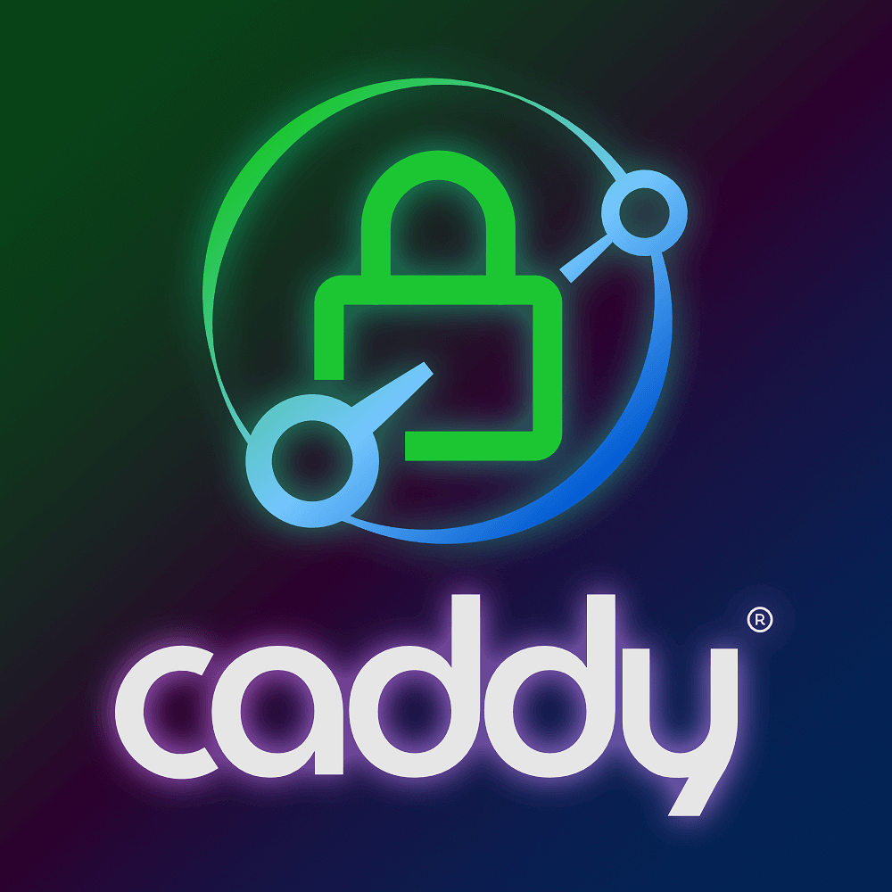 加入caddy服务 - 1Panel - 社区论坛 - FIT2CLOUD 飞致云