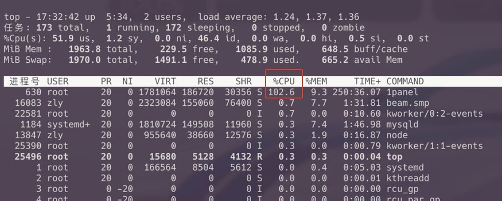 占用CPU很高 - 1Panel - 社区论坛 - FIT2CLOUD 飞致云