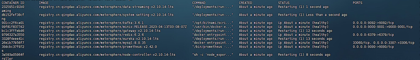 Docker启动时报错dependency Failed To Start Container System Setting Is Unhealthy Metersphere 社区