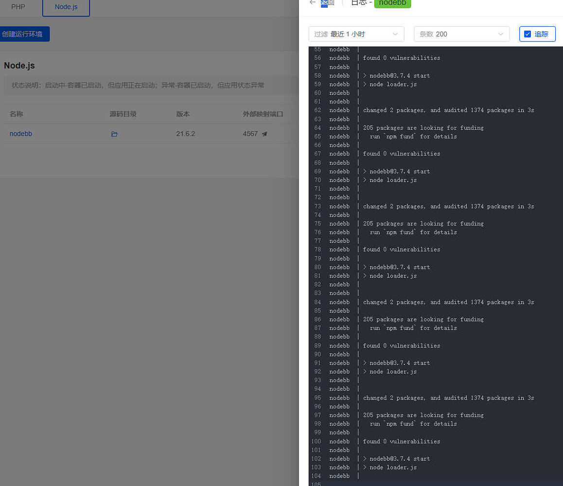Node运行环境使用姿势请教 - 1Panel - 社区论坛 - FIT2CLOUD 飞致云