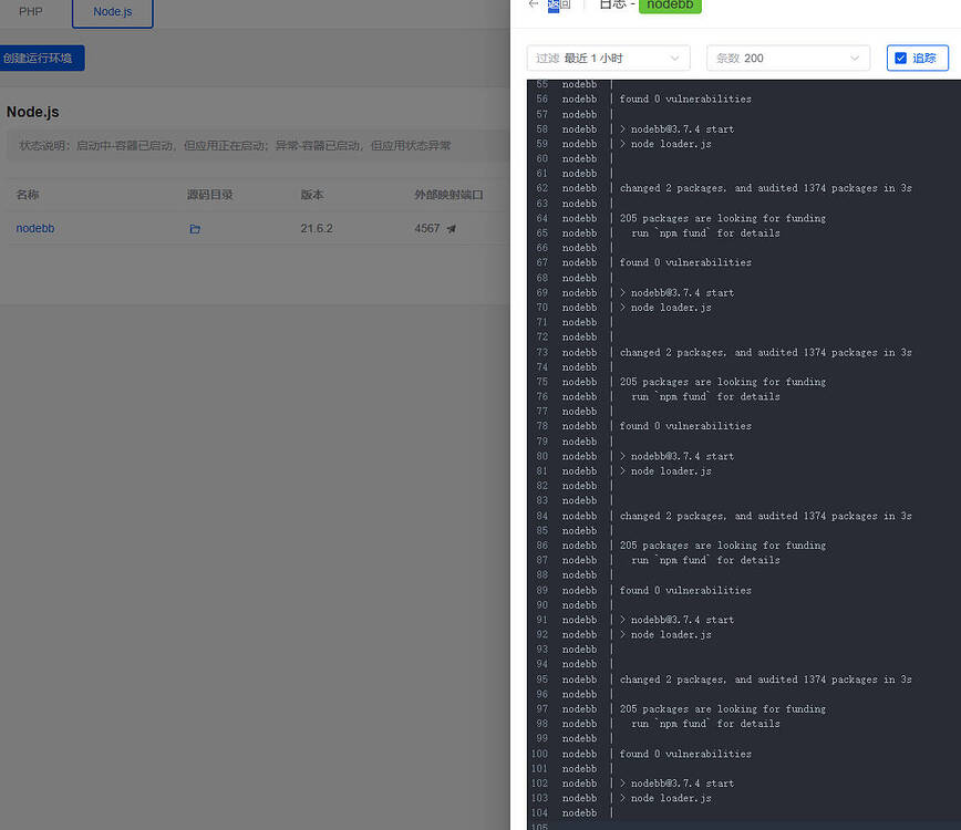 Node运行环境使用姿势请教 - 1Panel - 社区论坛 - FIT2CLOUD 飞致云